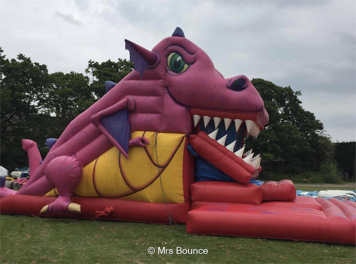 Snappy Dragon - Hire in London, Essex and nationwide | Mrs Bounce